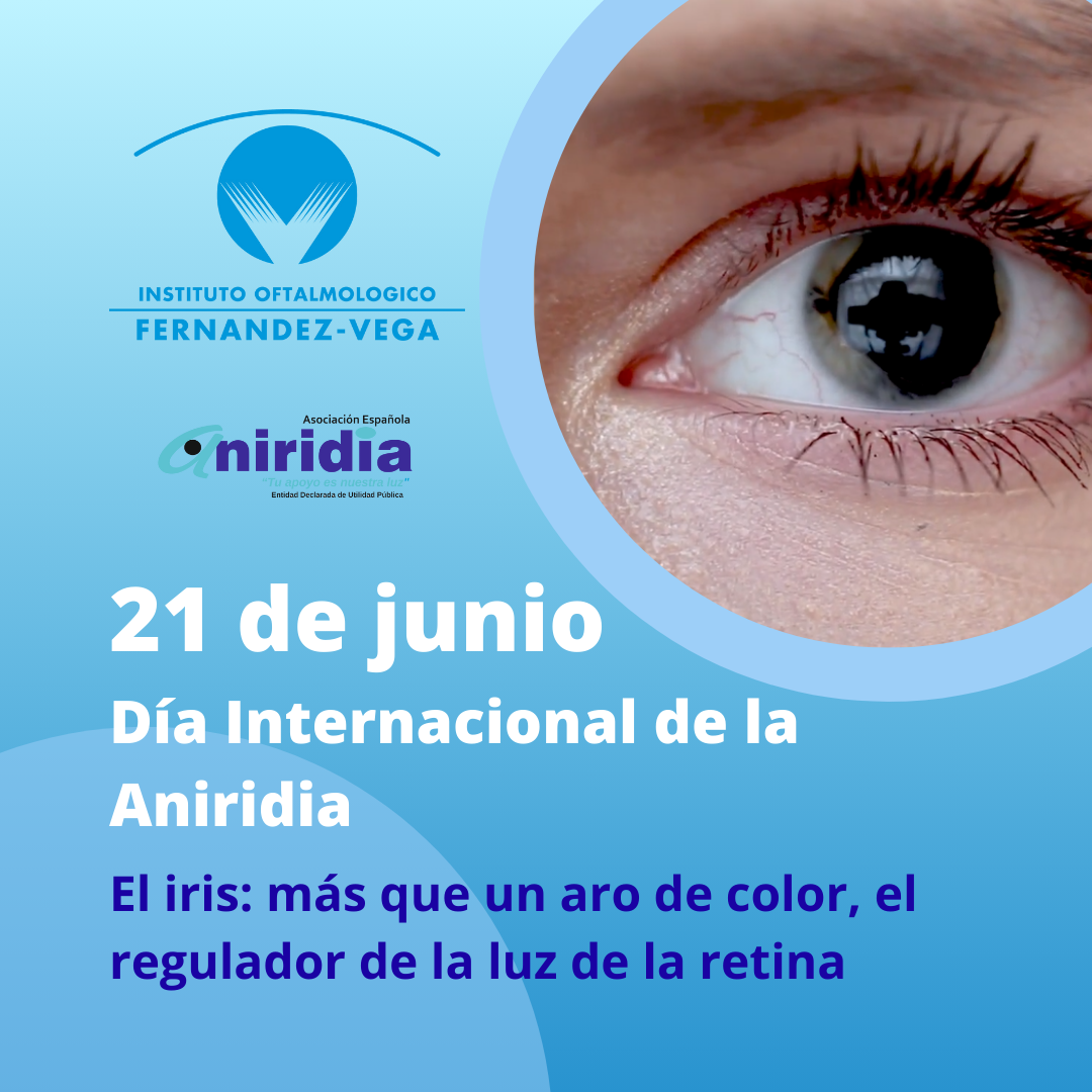 Día de la Aniridia: El iris: más que un aro de color, el regulador de ...